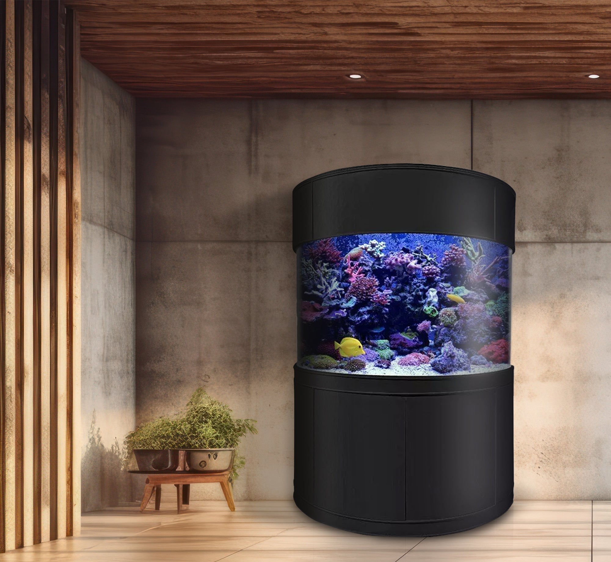 Innovative Uses of Corner Aquarium Tank in Home Decor | AQUA VIM
