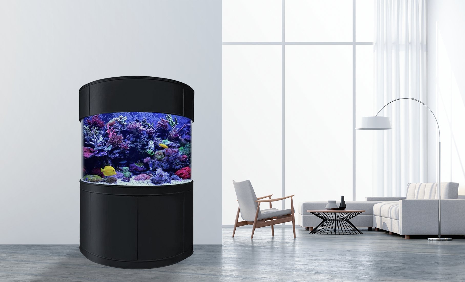 The Benefits of Buying a Luxury Fish Tank Online – AQUA VIM