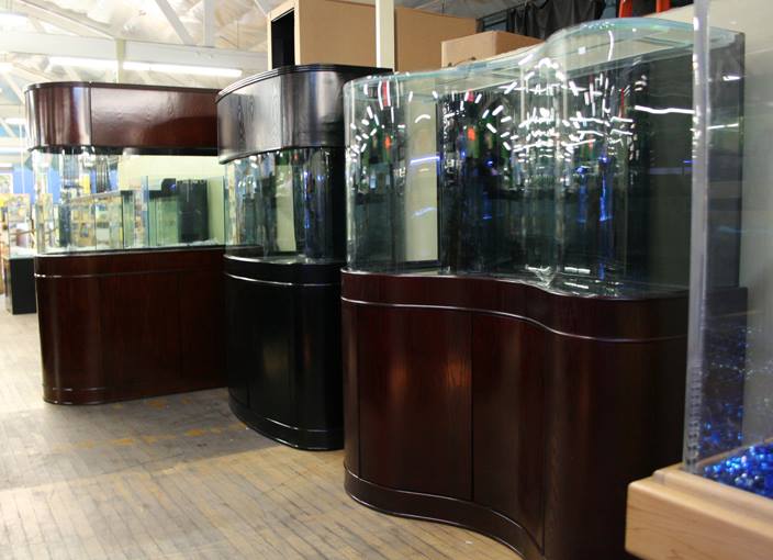 Large Reef-Ready Glass Fish Tank Aquariums with Stand For Sale – AQUA VIM