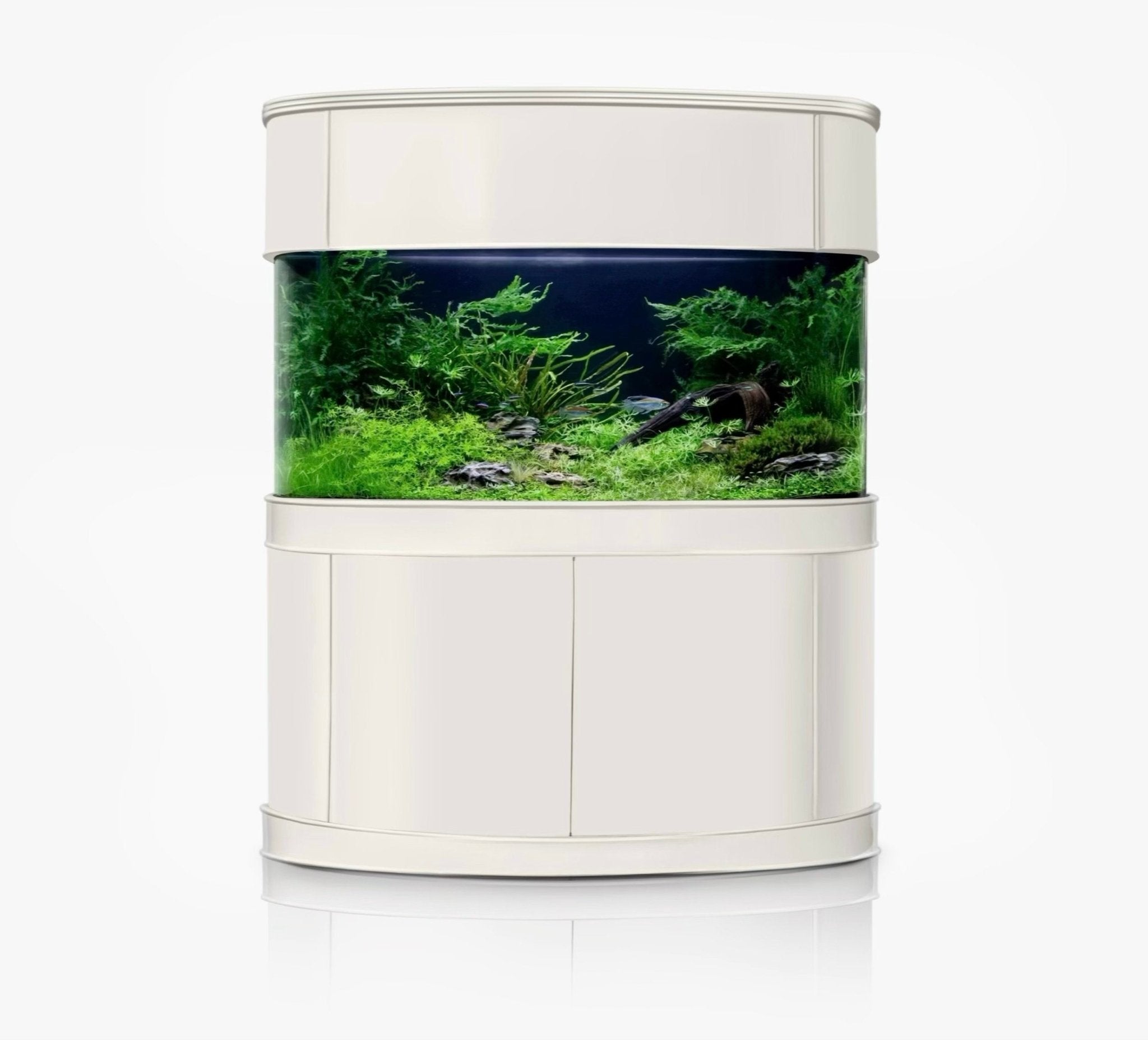 60 Gallon Bow Front Aquarium 72 Gallon Bow Front Vivarium