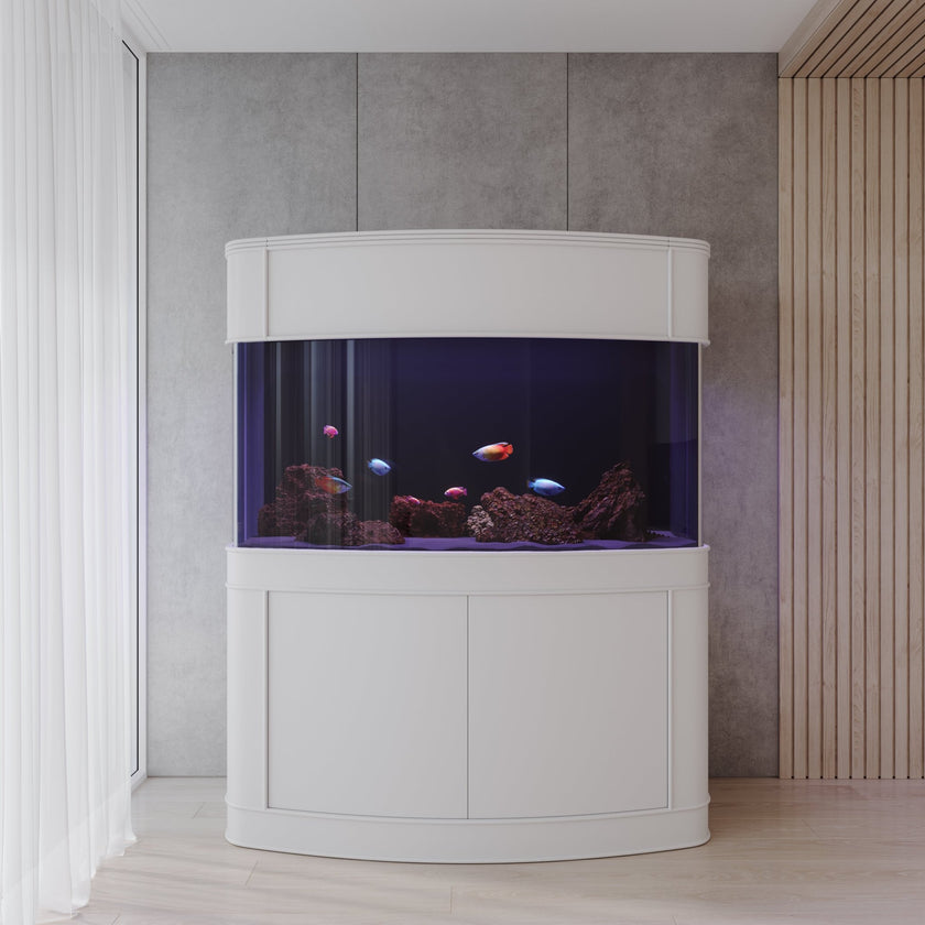 Luxury Bowfront Glass Fish Tanks | Luxury Home Aquariums - AQUA VIM