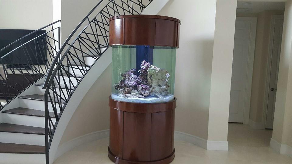 Large Glass Reef-Ready Full Cylinder Aquarium With Stand | AQUA VIM ...
