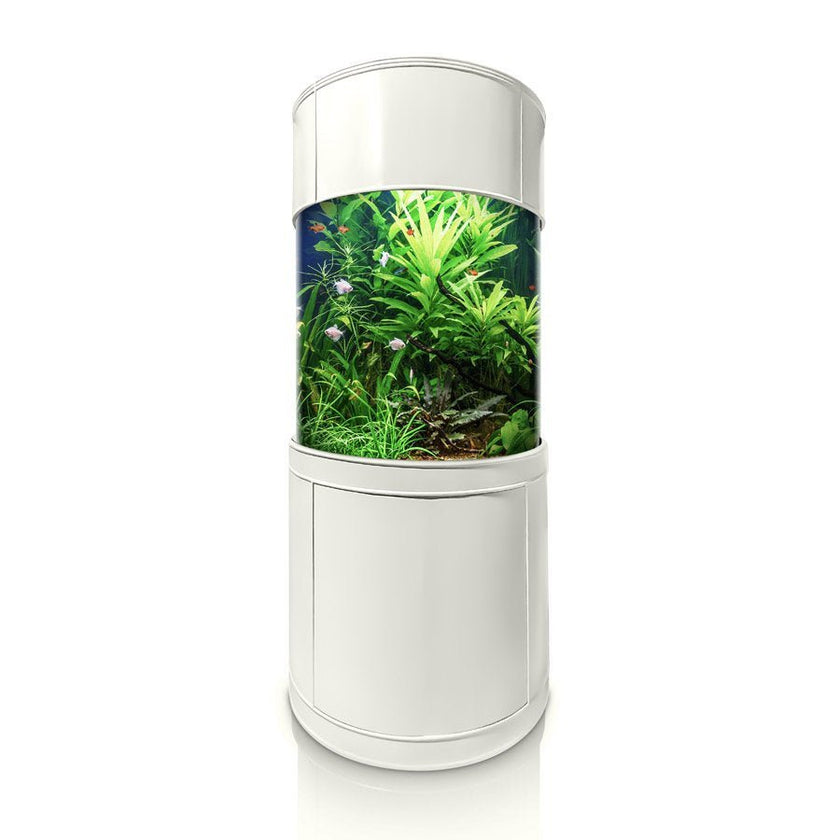 Large Glass Reef-Ready Full Cylinder Aquarium With Stand | AQUA VIM ...